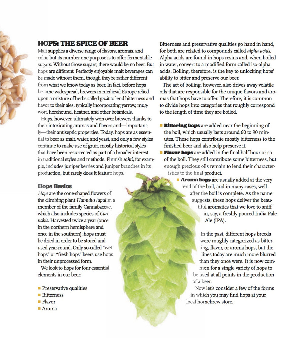 The Illustrated Guide to Homebrewing (PDF Download) – Craft Beer & Brewing